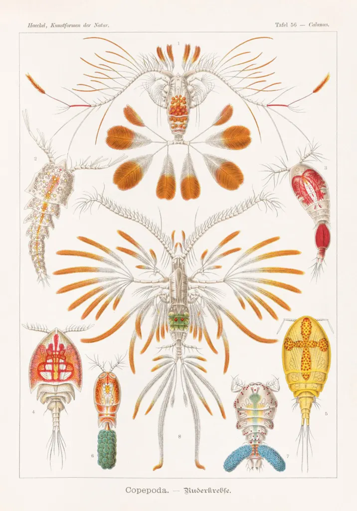microorganisms under microscope drawing