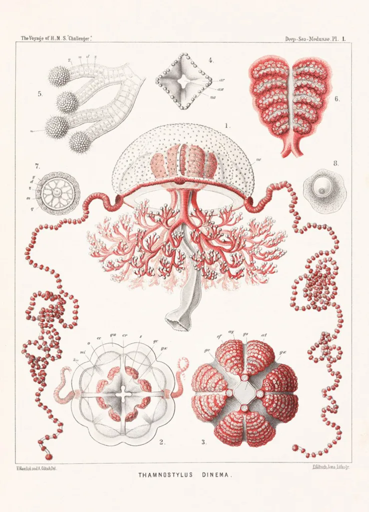 good microbes drawing