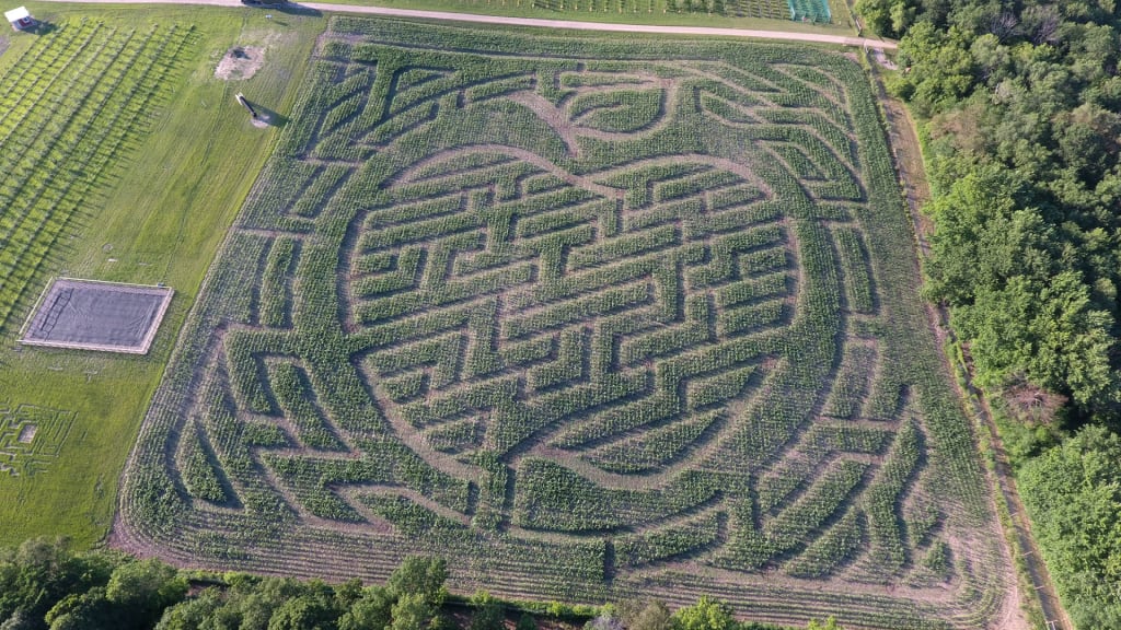 Inside The Surprisingly High-Tech World Of Corn Mazes - Fast Company