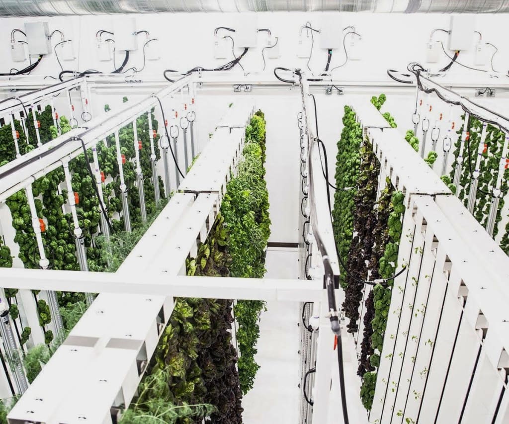 This Underground Urban Farm Also Heats The Building Above It - Fast Company