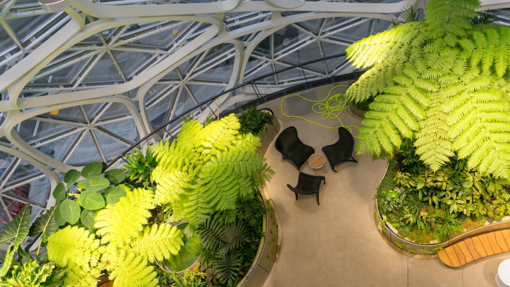 A First Look At The Spheres, Amazon's Wild New Corporate Biodome - Fast ...