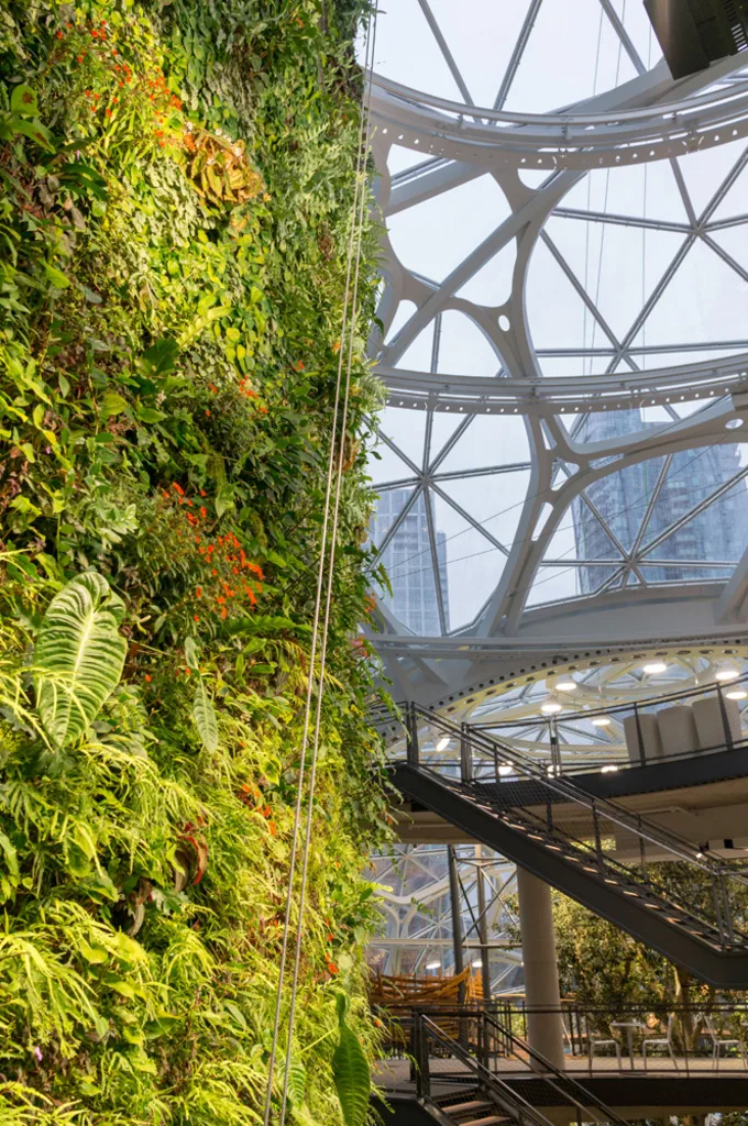 A First Look At The Spheres, Amazon's Wild New Corporate Biodome - Fast ...