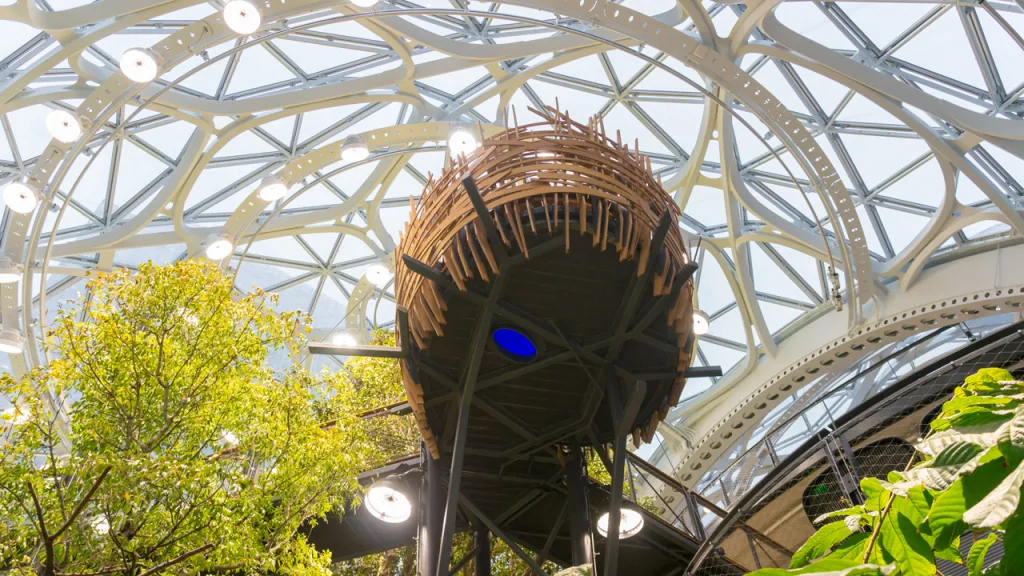 A First Look At The Spheres, Amazon's Wild New Corporate Biodome - Fast ...