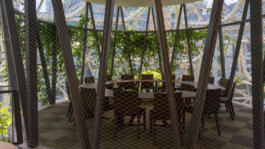 A First Look At The Spheres, Amazon's Wild New Corporate Biodome - Fast ...