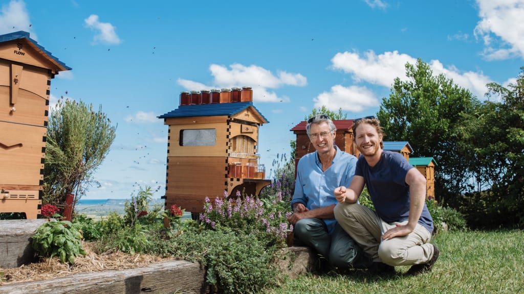 This Easy-To-Use Beehive Is Bringing Honey To Backyards - Fast Company