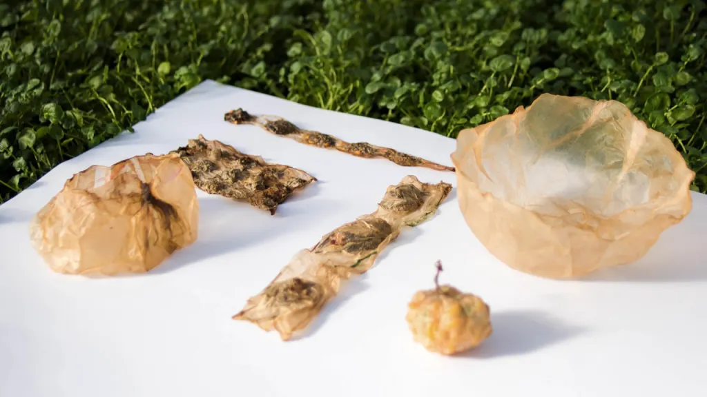This new edible packaging is grown from kombucha - Fast Company
