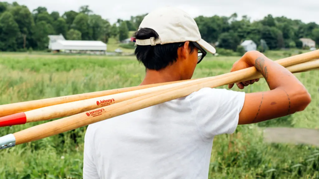 Why this restaurant chain is in the farming business - Fast Company