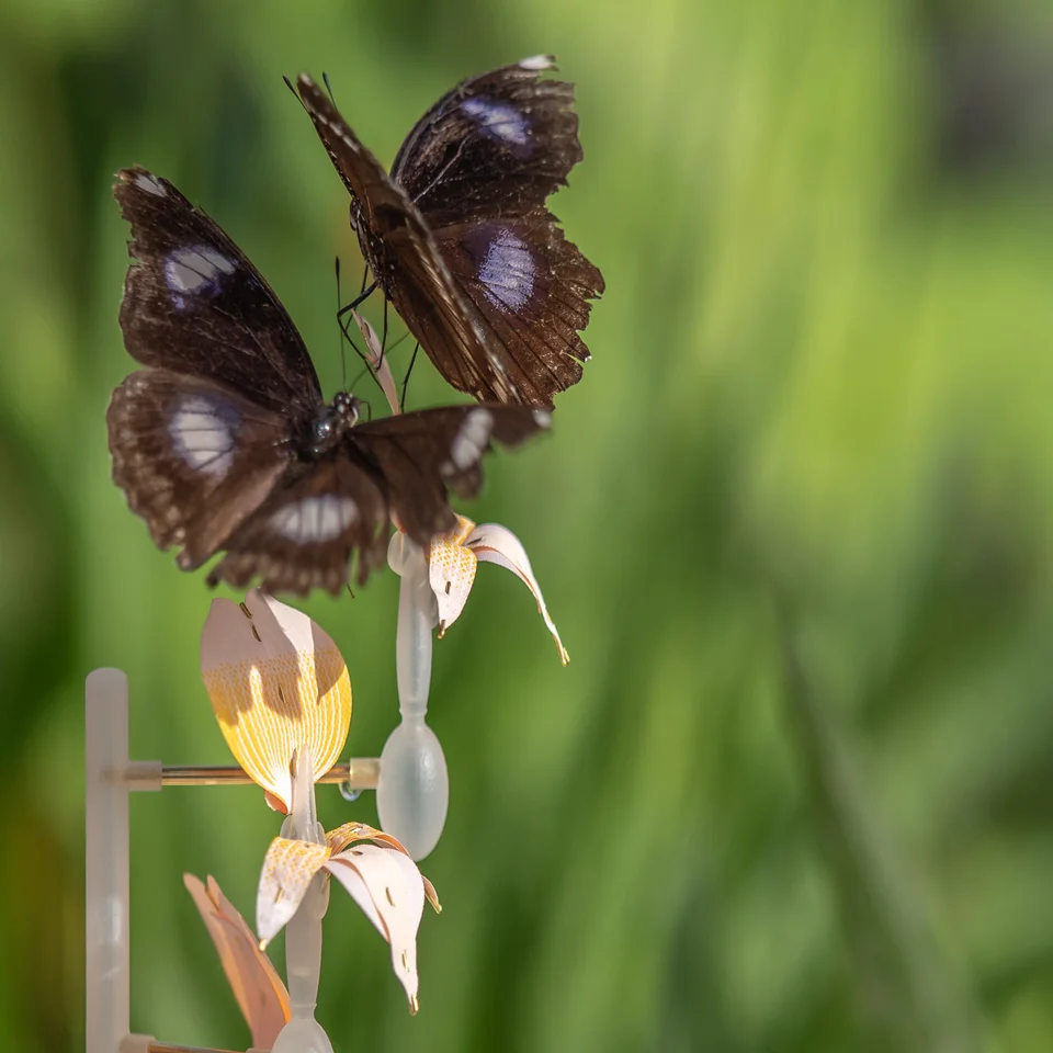 These gorgeous fake flowers are an oasis for tired city insects - Fast ...
