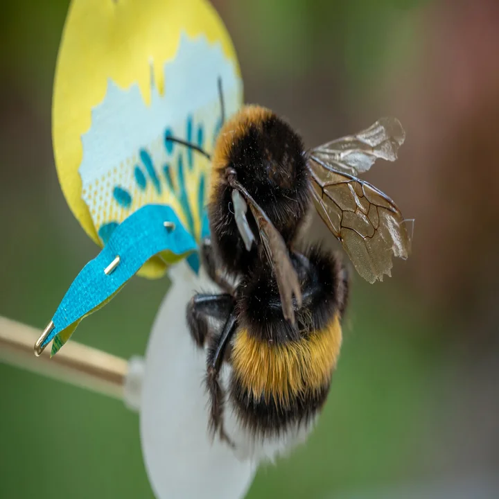 These gorgeous fake flowers are an oasis for tired city insects - Fast ...