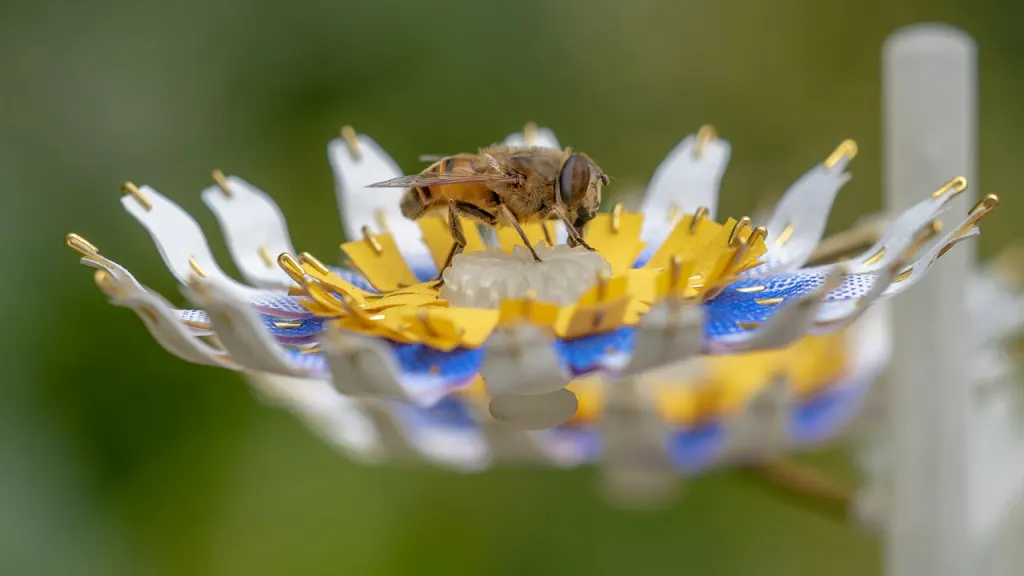 These gorgeous fake flowers are an oasis for tired city insects - Fast ...