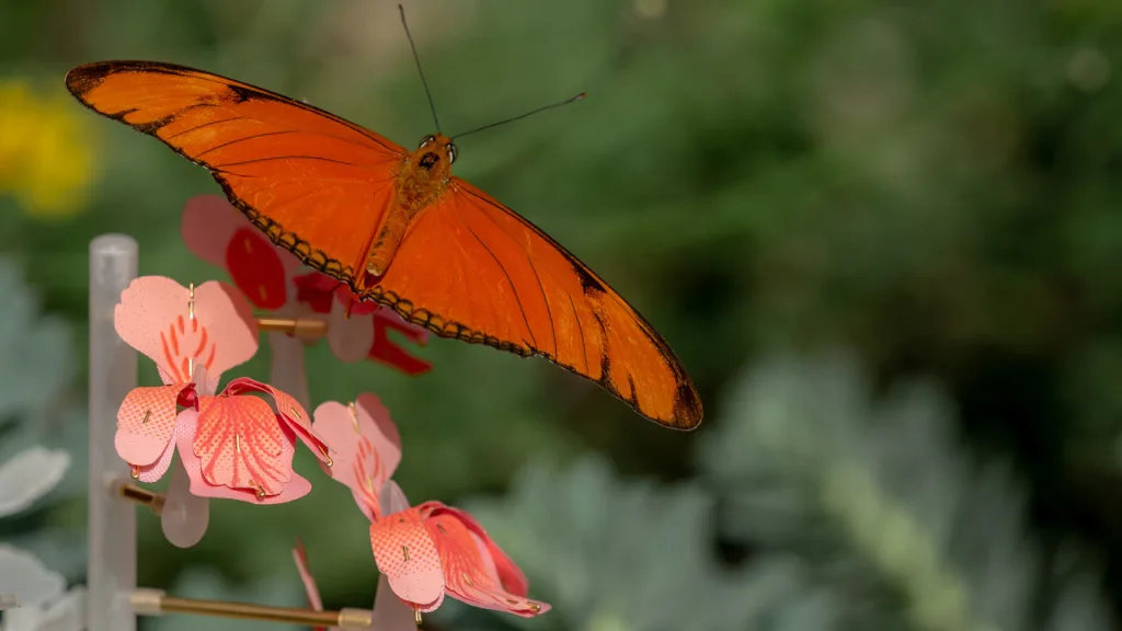 These gorgeous fake flowers are an oasis for tired city insects - Fast ...