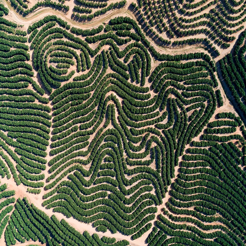 The world's water crisis is disturbingly beautiful when you look down ...