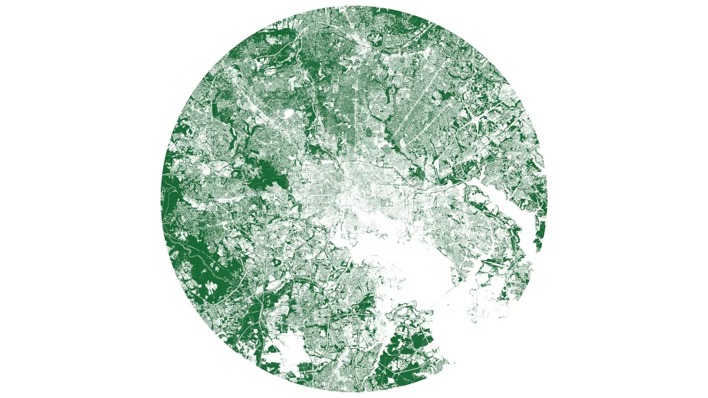 These maps show you every tree in your city - Fast Company