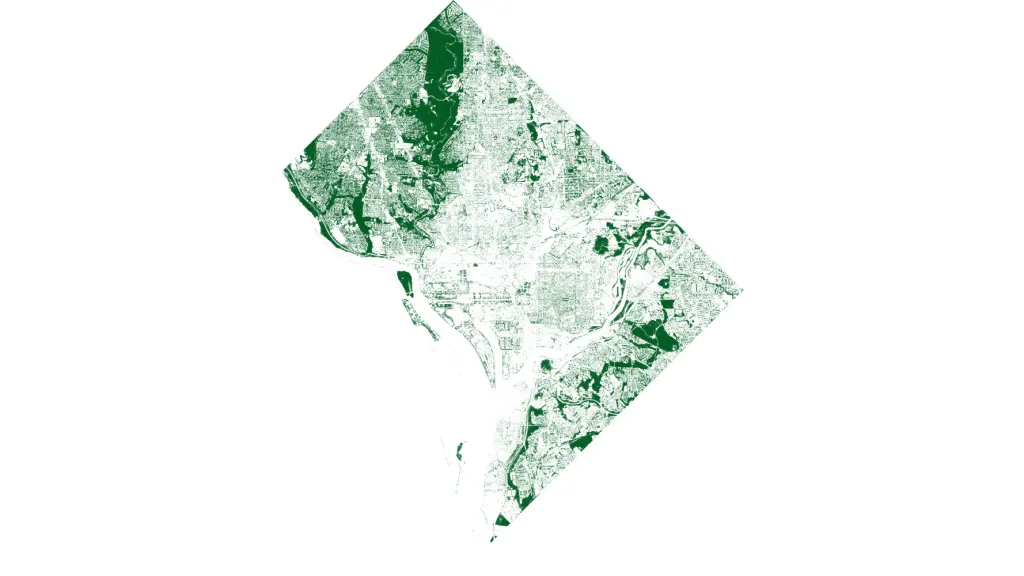These maps show you every tree in your city - Fast Company