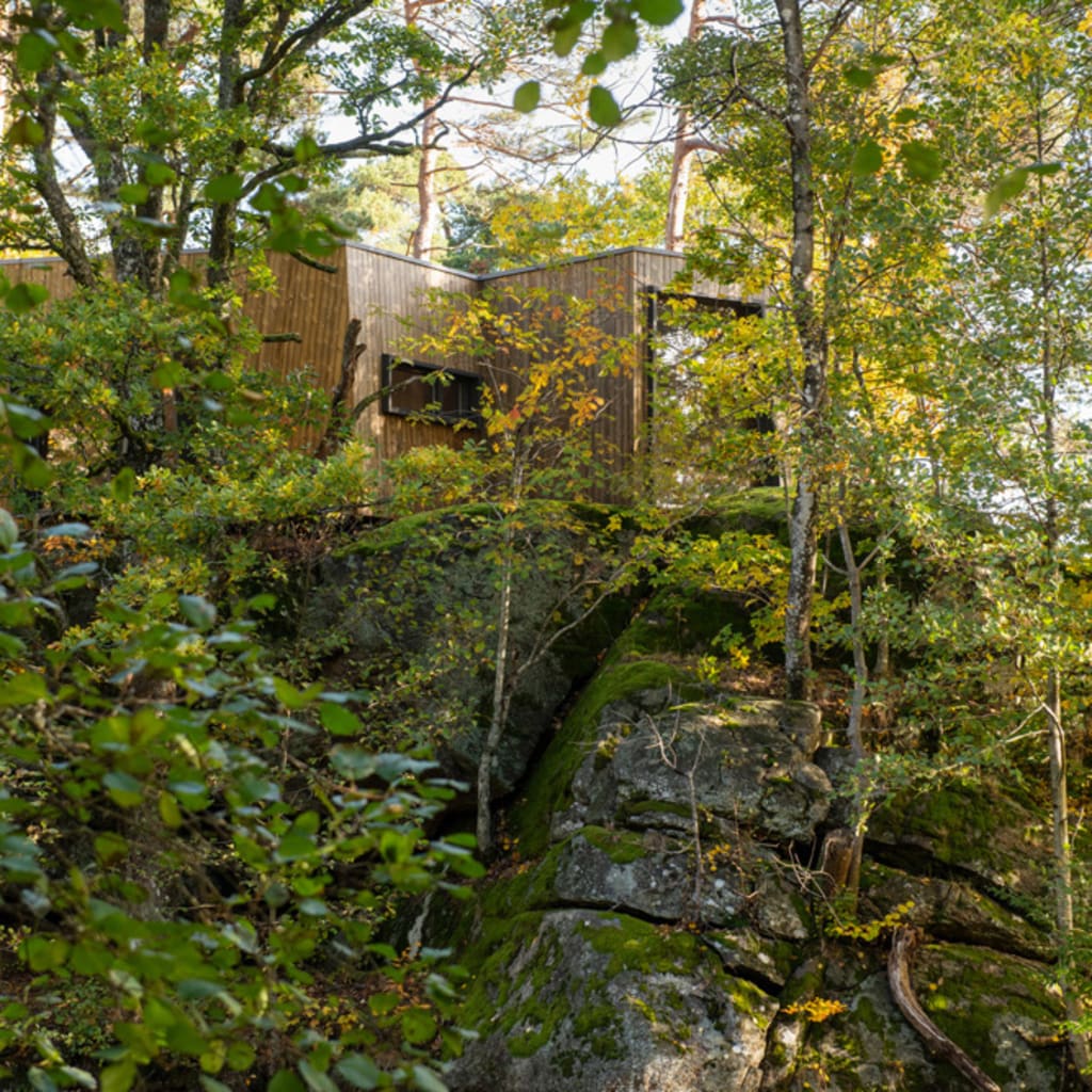 The radical future of hospitals is being built in a Norwegian forest ...