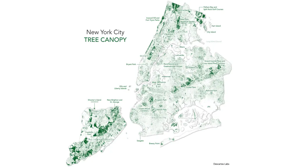 These maps show you every tree in your city - Fast Company