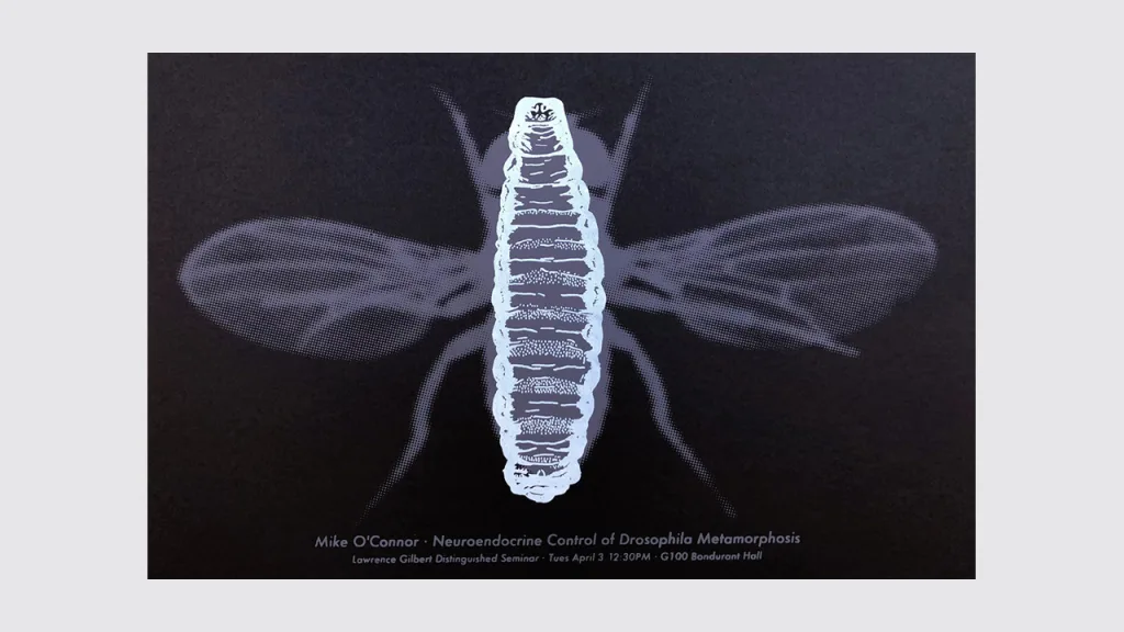 This scientist-designer makes awesome posters for university lectures ...