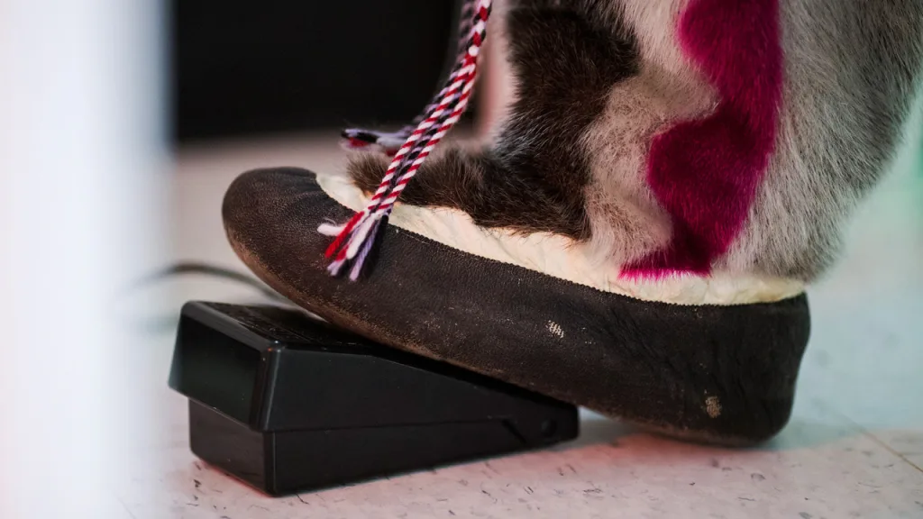 These incredible Canada Goose parkas were created by Inuit designers ...