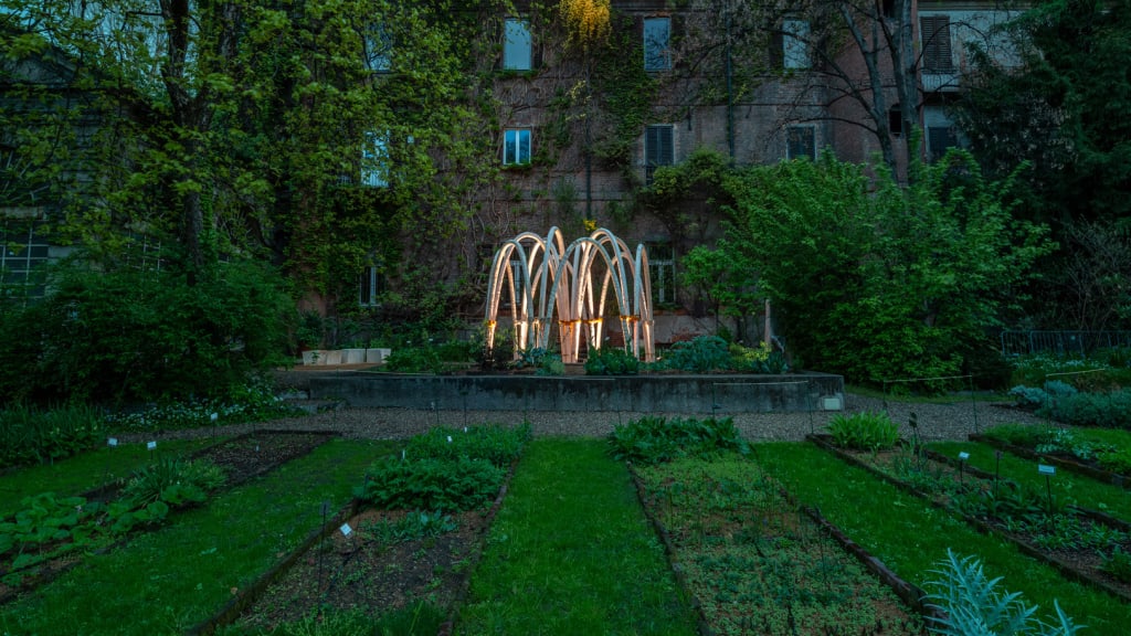 See the first architectural arches grown in a lab - Fast Company
