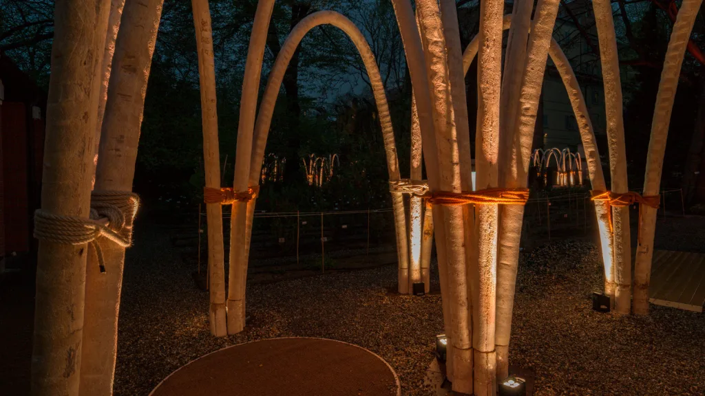 See the first architectural arches grown in a lab - Fast Company