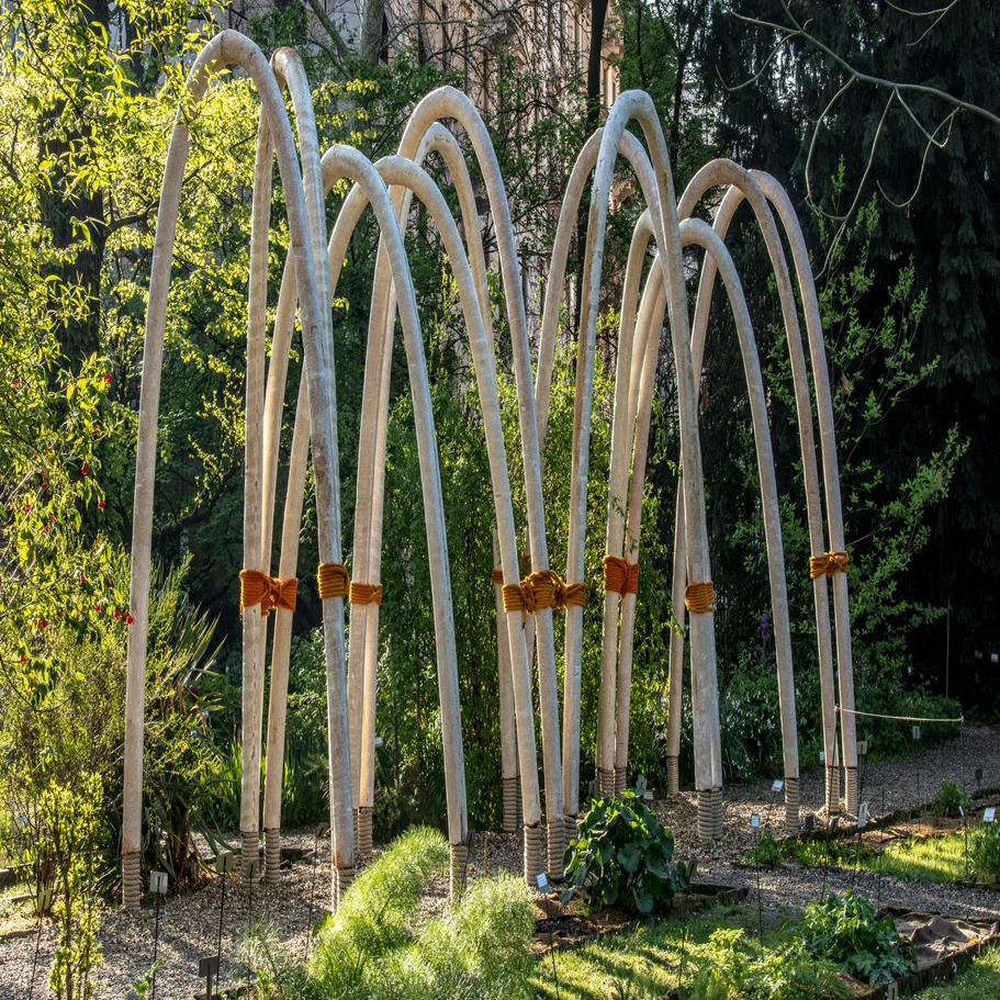 See the first architectural arches grown in a lab - Fast Company