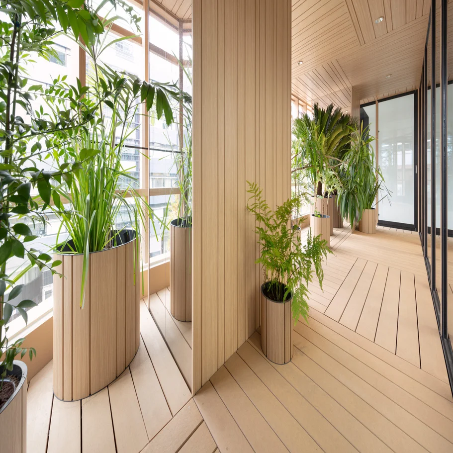 This gorgeous office is like working in a forest - Fast Company