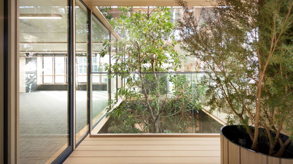 This gorgeous office is like working in a forest - Fast Company
