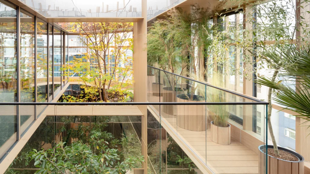 This gorgeous office is like working in a forest - Fast Company