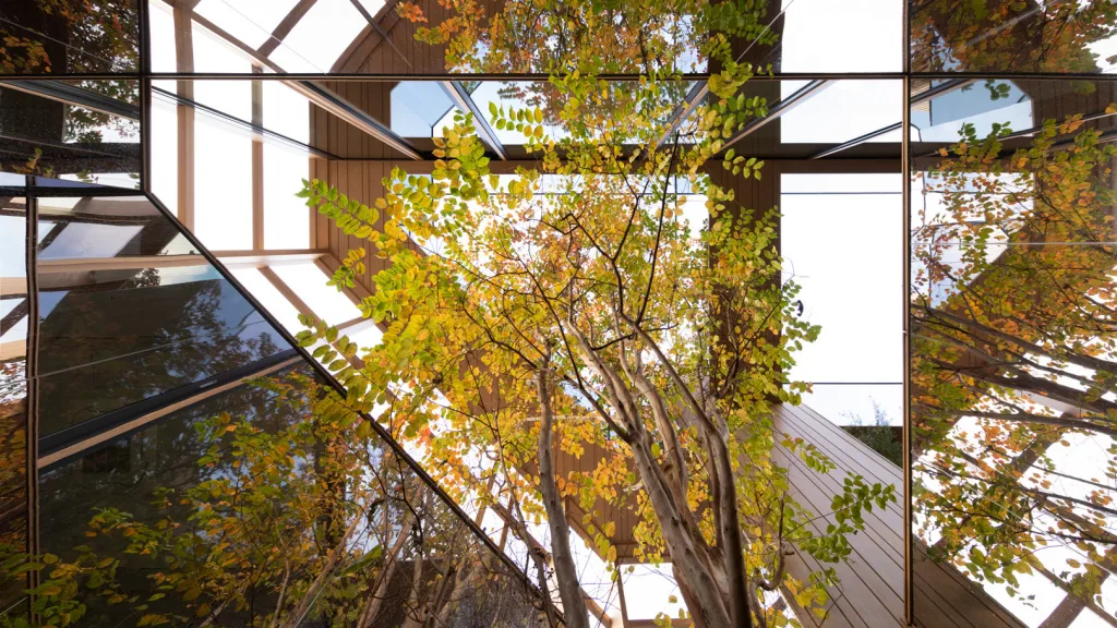 This gorgeous office is like working in a forest - Fast Company