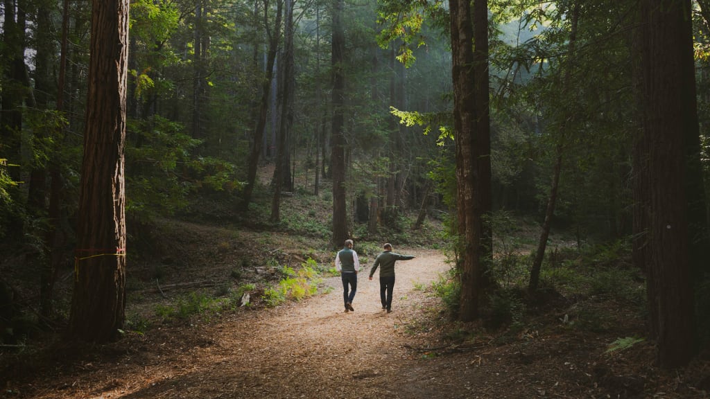 This startup is building a new kind of cemetery, and it already has ...