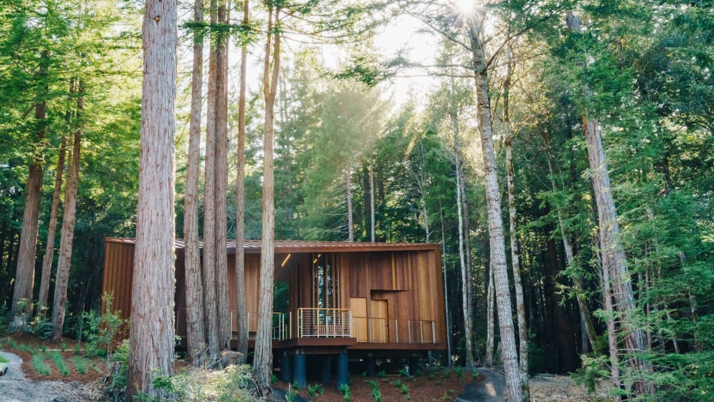 This startup is building a new kind of cemetery, and it already has ...