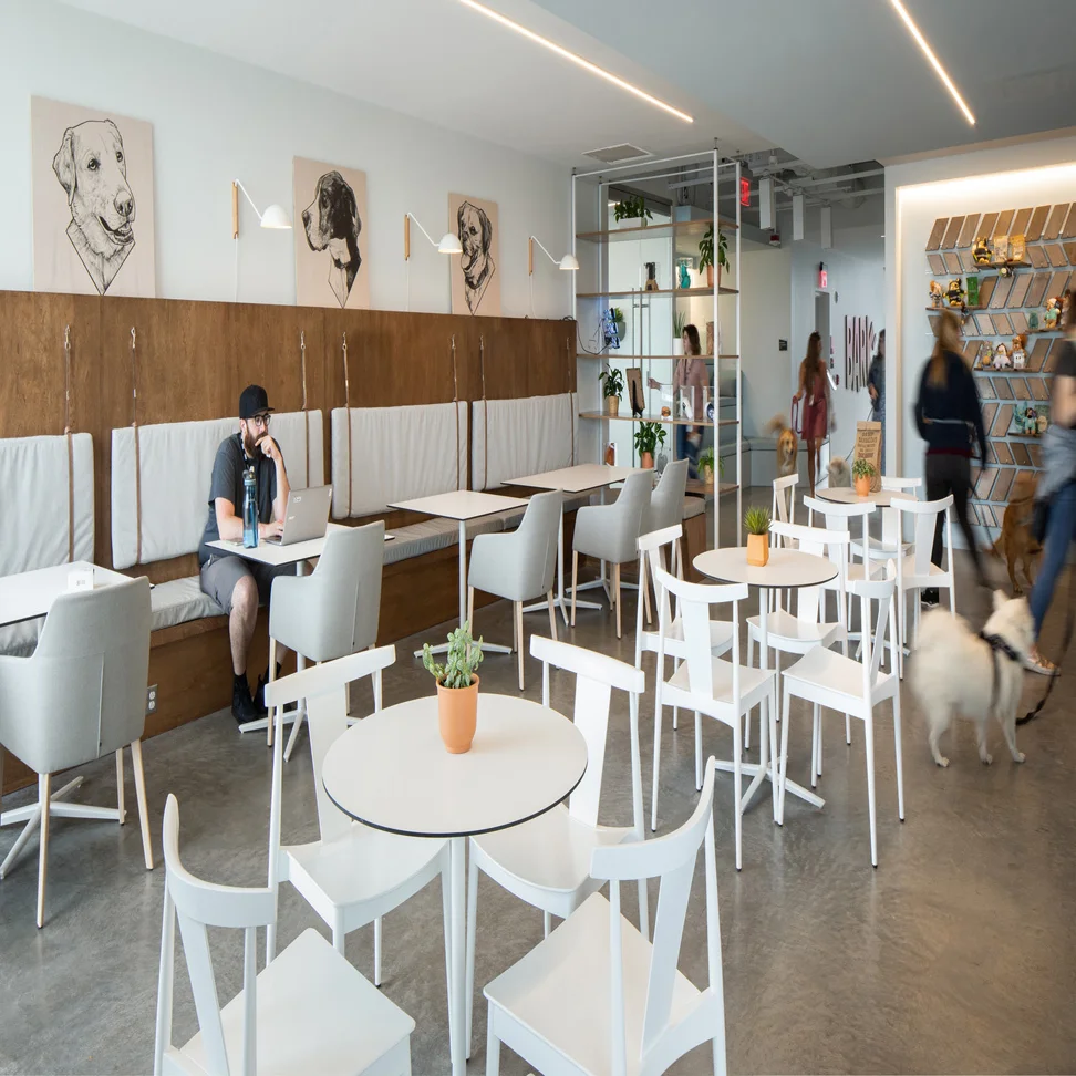 This is the most dog-friendly office ever - Fast Company