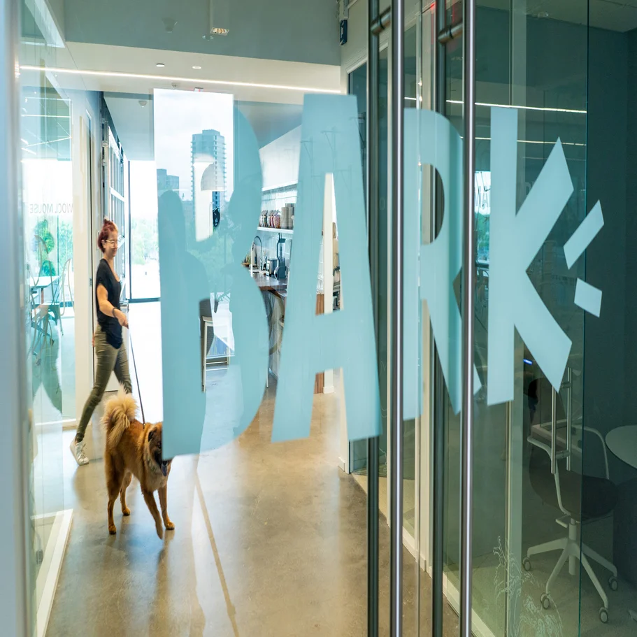 Dog Office Here's How Office Pets Made Our Workplace Better