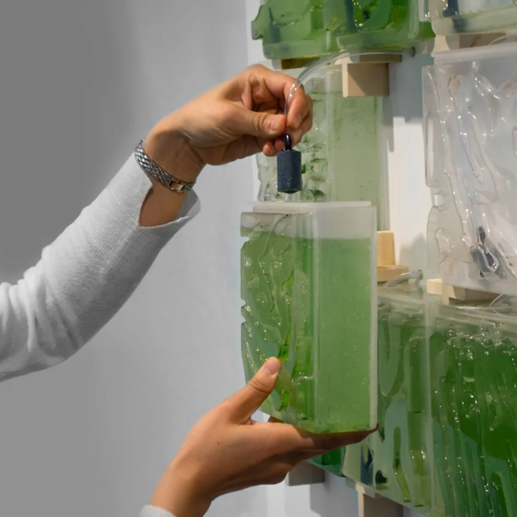 This Kit Makes It Shockingly Easy And Pretty To Farm Your Own Algae