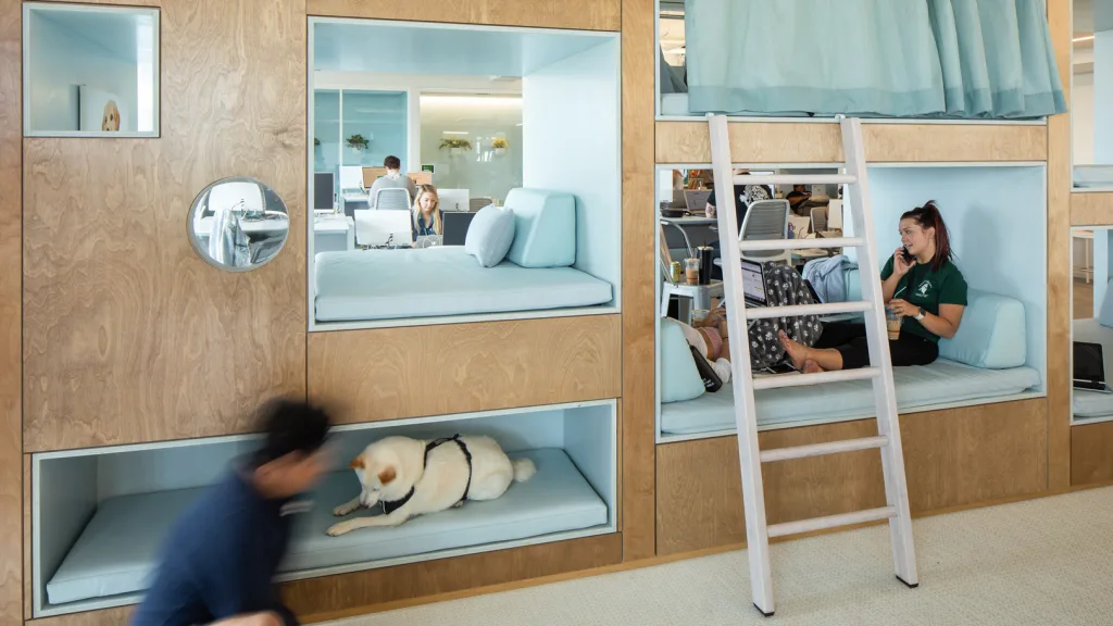 This is the most dog-friendly office ever - Fast Company