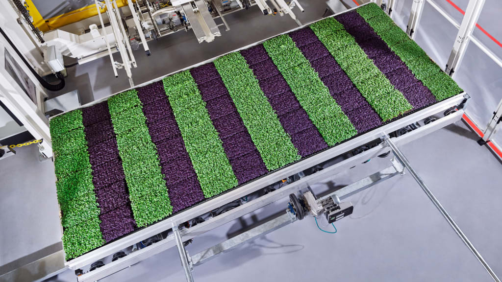 Robots are already farming crops inside this Silicon Valley warehouse ...