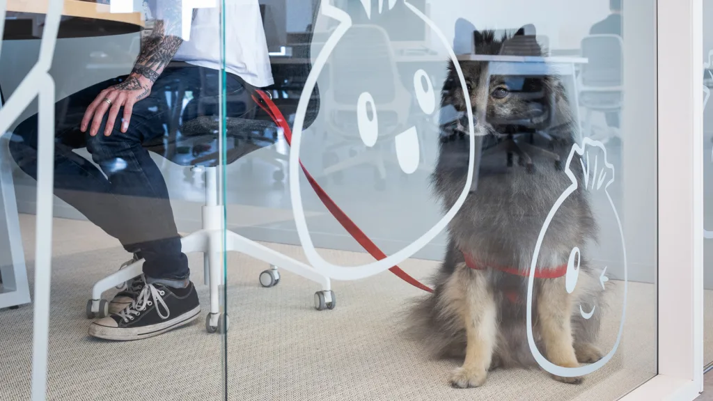 This is the most dog-friendly office ever - Fast Company