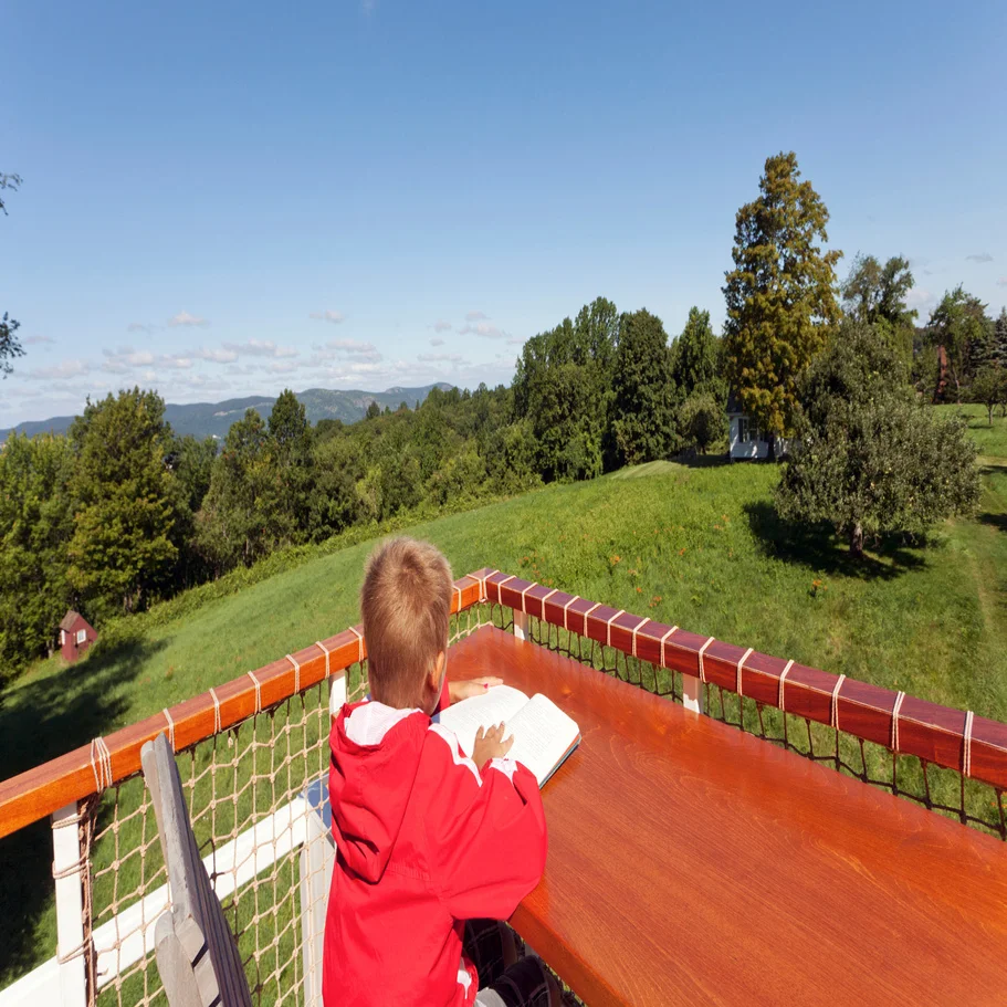 This ultra-minimalist treehouse has its own rooftop workspace - Fast ...