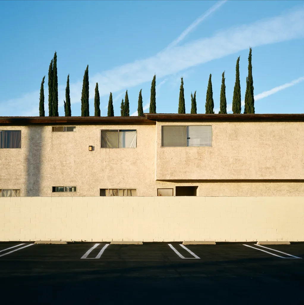 These photos of trees surviving in cities are hopeful and heartbreaking ...
