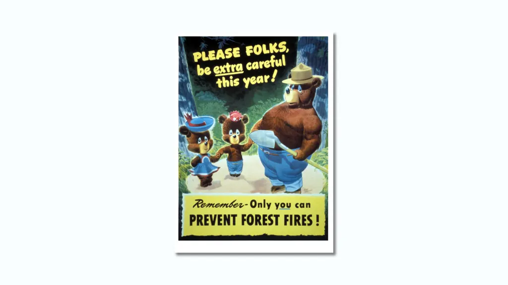 Smokey Bear is 75: Look back at his legacy—and see his new life as an ...