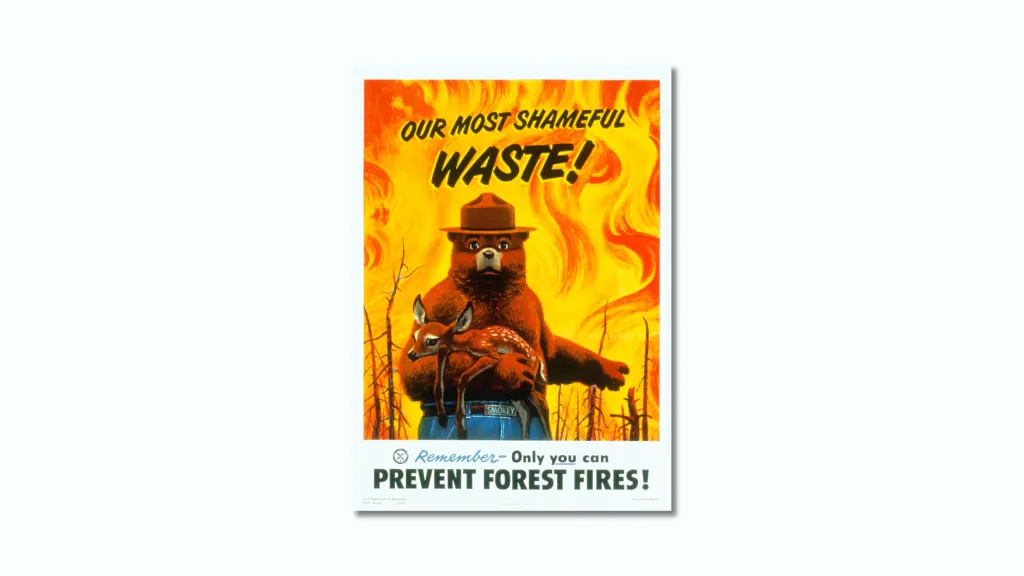 Smokey Bear is 75: Look back at his legacy—and see his new life as an ...