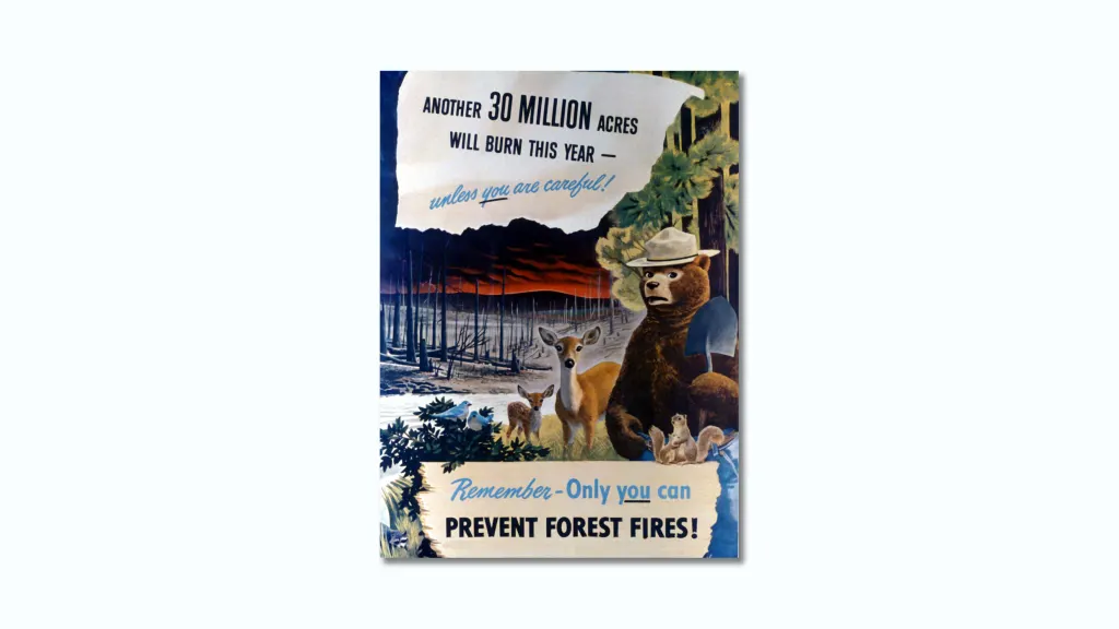 Smokey Bear is 75: Look back at his legacy—and see his new life as an ...