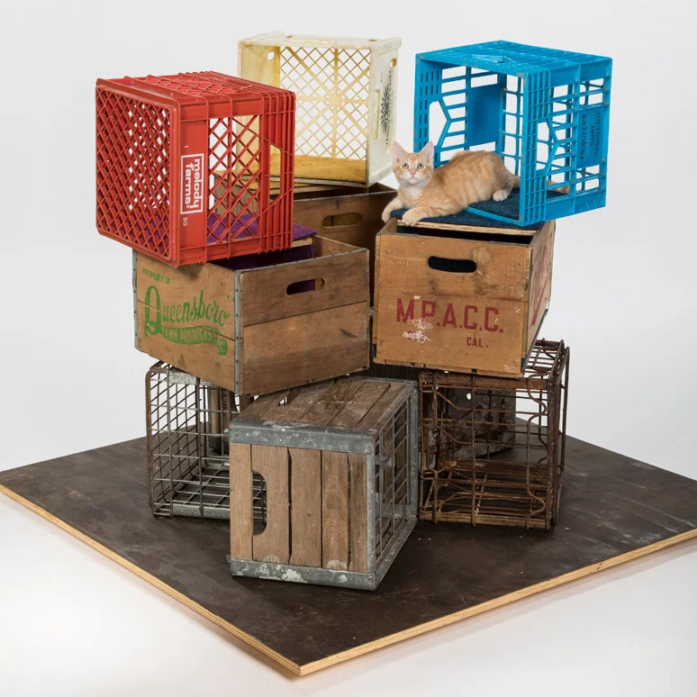 These cat houses are nicer than human houses - Fast Company