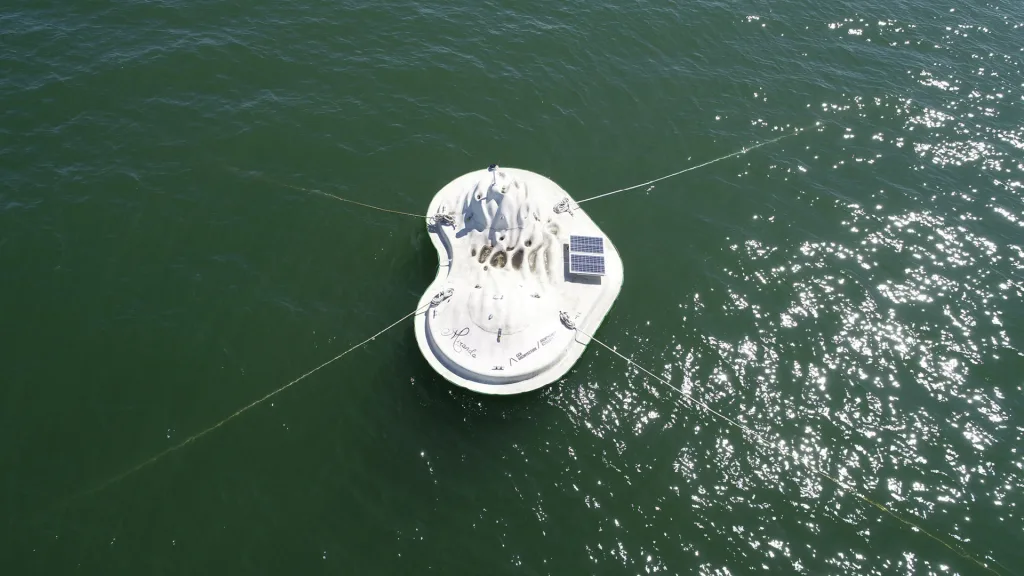 This artificial island is a home for sea creatures displaced by climate ...