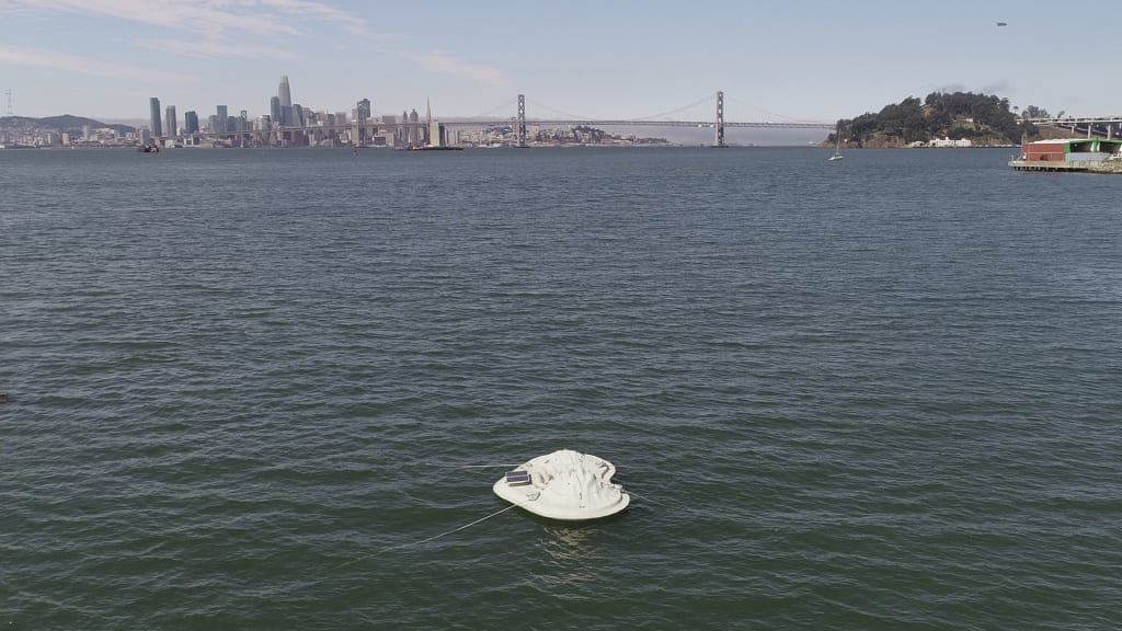 This artificial island is a home for sea creatures displaced by climate ...