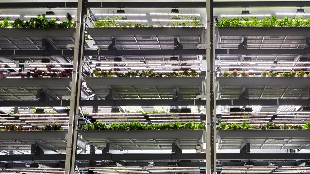 This Google Ventures-backed indoor farming startup just opened its ...