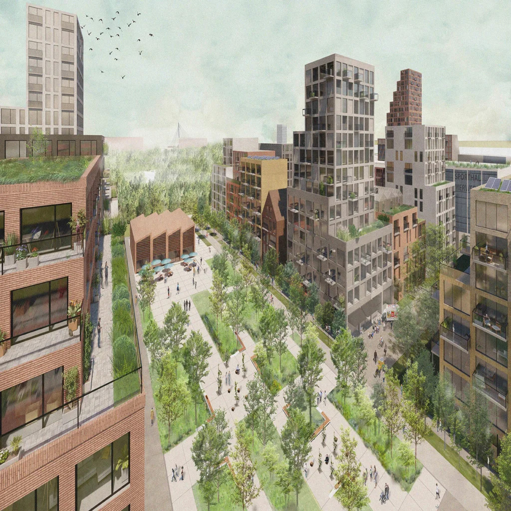 In this new Dutch neighborhood, there will be 1 shared car for every 3 ...