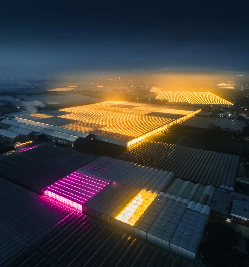 These eerily beautiful glowing buildings are the Netherlands' massive ...
