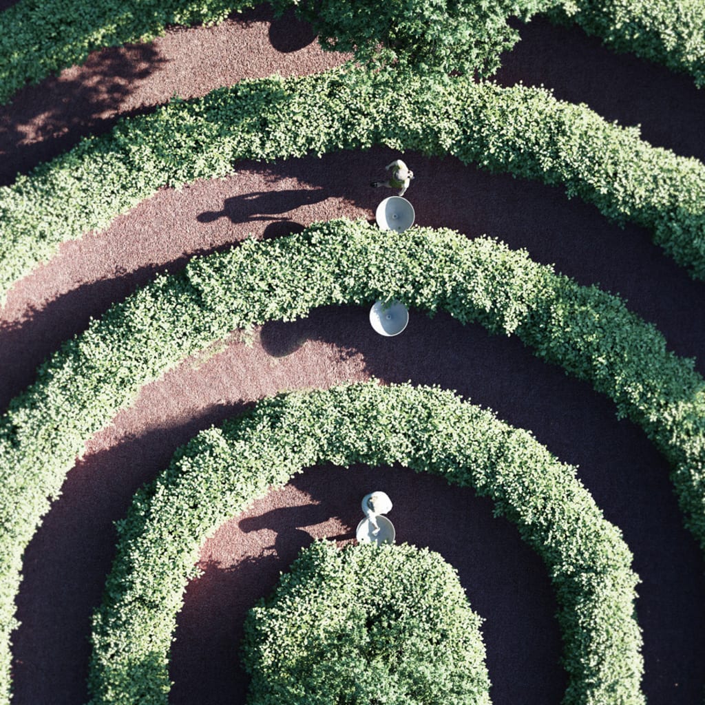 This maze-like urban park is designed to keep everyone 6 feet apart ...