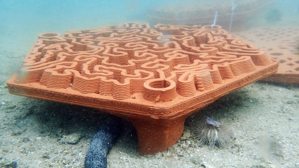 These 3D printed tiles are helping restore devastated coral reefs ...